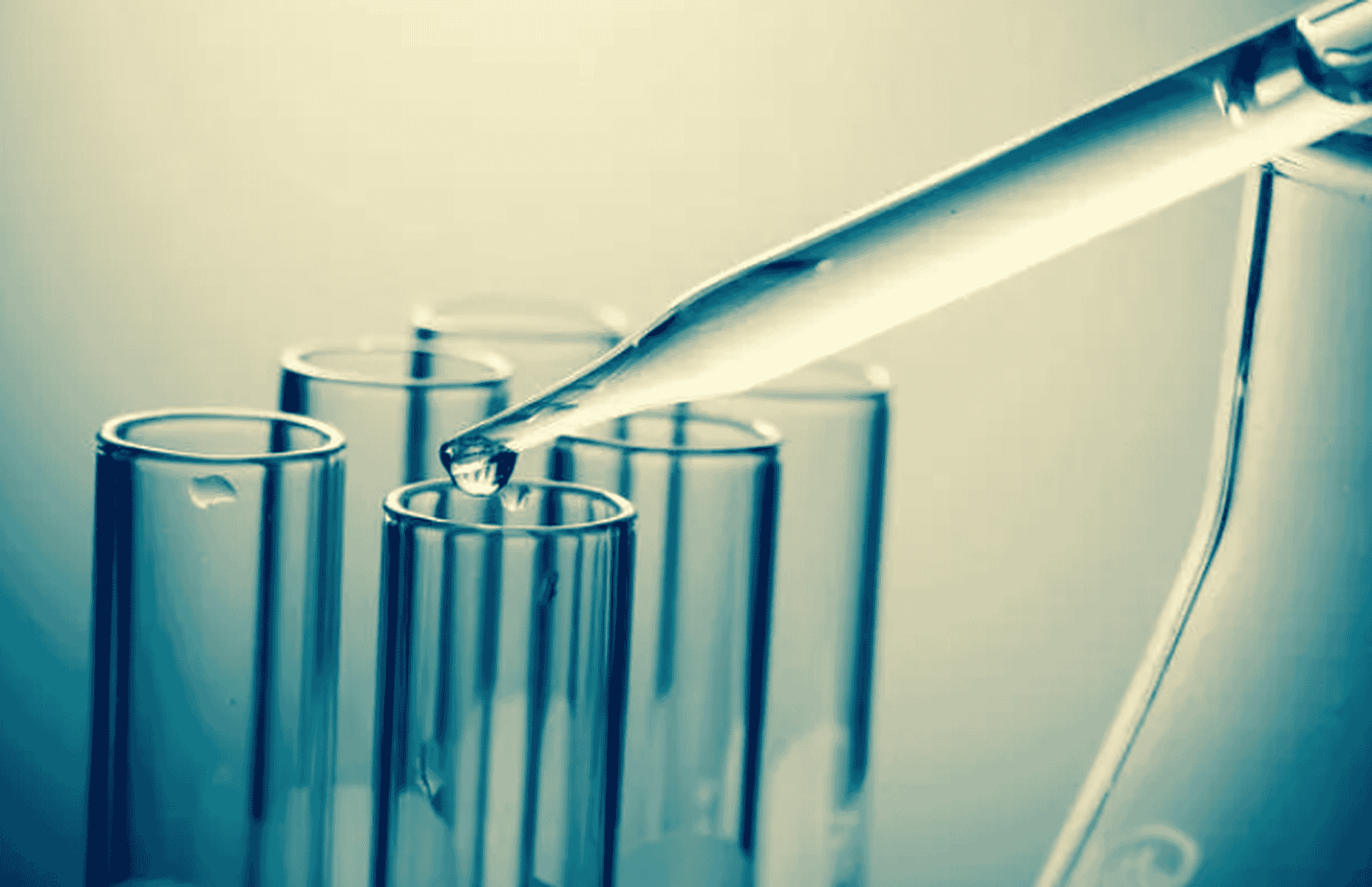 AF488活性酯，Alexa Fluor 488 NHS ester