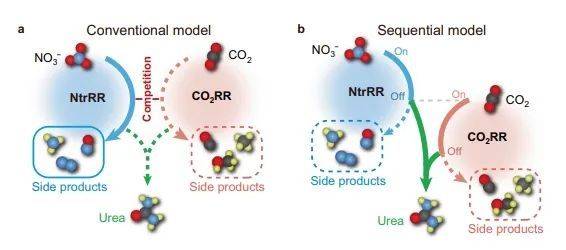 Nature子刊：催化剂触发NO3−和CO2顺序还原，实现尿素电合成_反应_NtrRR_过程