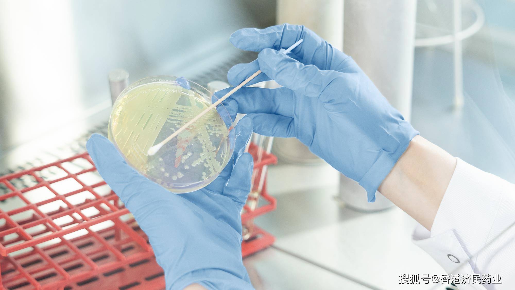 抗生素Zevtera获FDA批准，用于治疗多种难治性感染_搜狐网