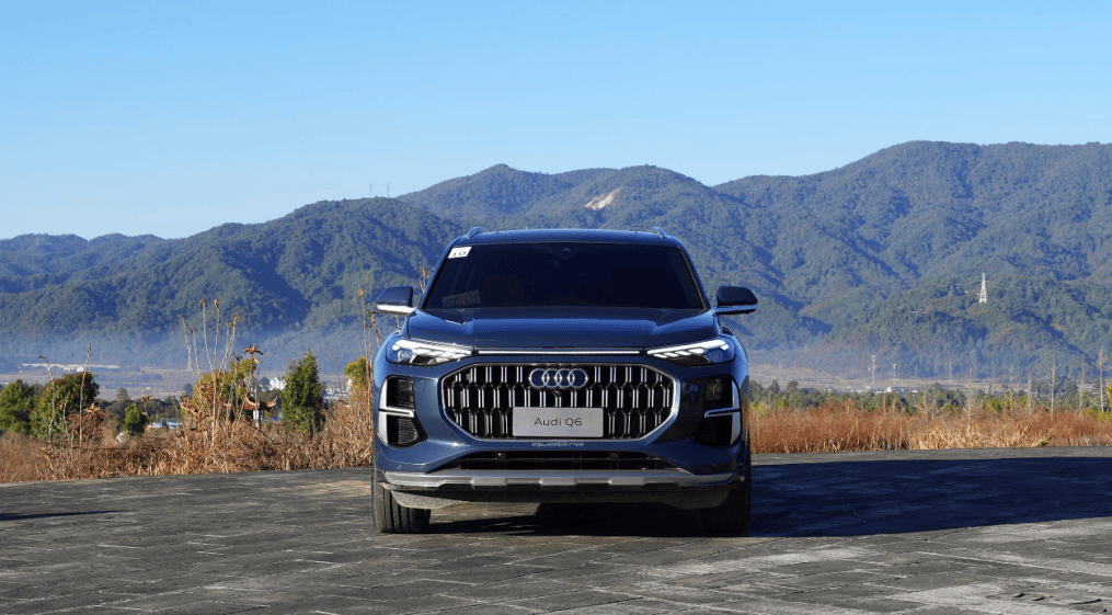 40万级ABB唯一大6座，奥迪Q6更适合“中国宝宝体质”_搜狐汽车_搜狐网