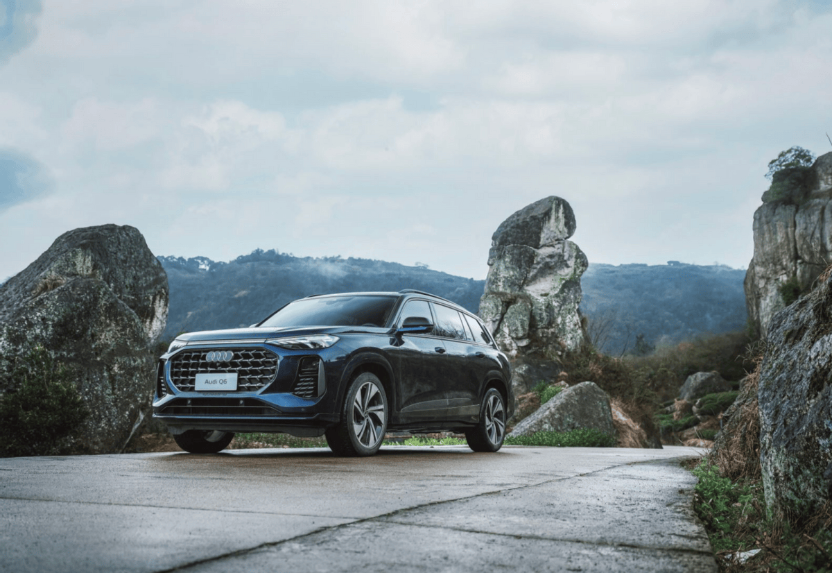 中大型豪华SUV之争，奥迪Q6凭什么挑战宝马X5？ -6parkbbs.com