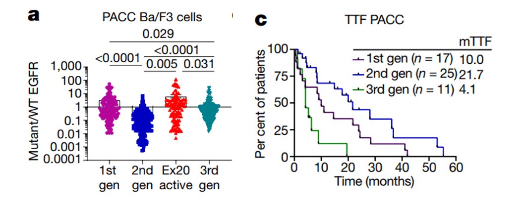 EGFR罕见变异再探究，助力临床精准用药_患者_分类_经典