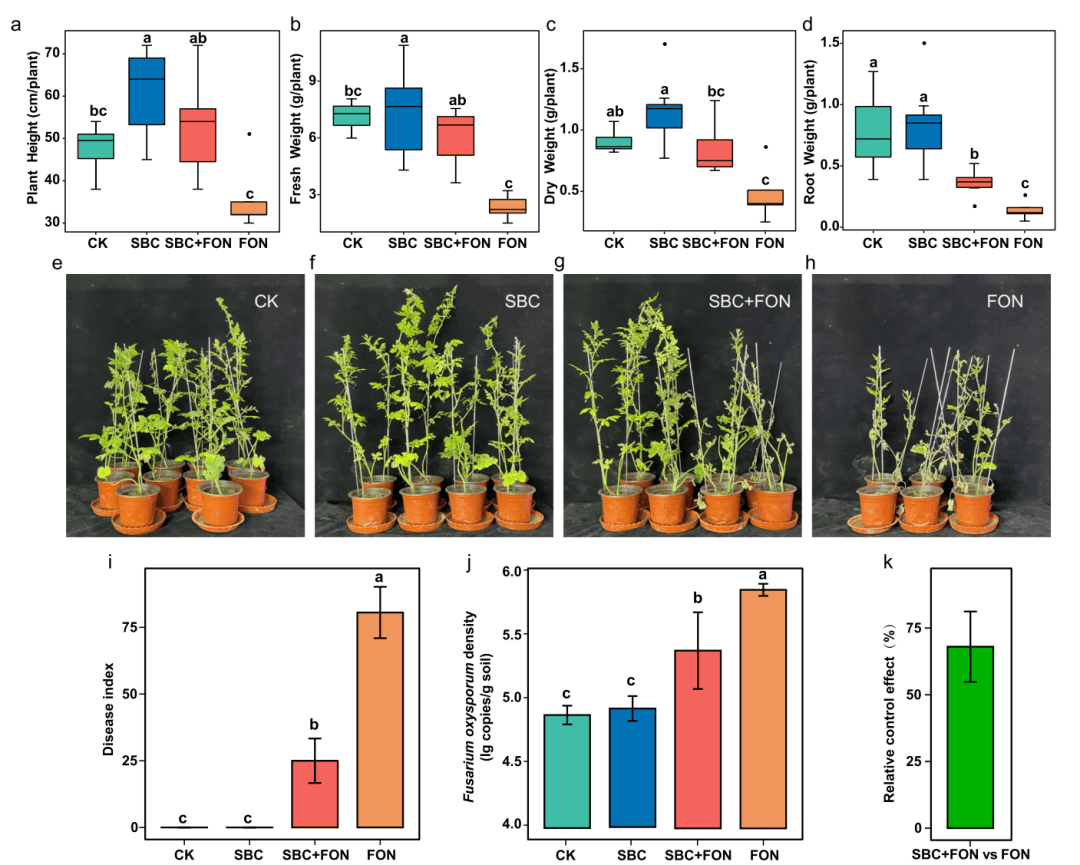 沈其荣院士团队最新研究：根际微生物可协同植物抗病原菌_SynCom_西瓜_群落