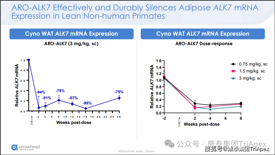 不怕贴秋膘！ ALK7 siRNA 脂肪递送、精准减脂，鼎泰 KBI 打造影像学小蛮腰_today_临床_药物