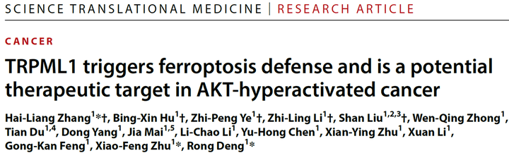 AKT磷酸化TRPML1的Ser343位点增加其稳定性_蛋白_上游_激酶