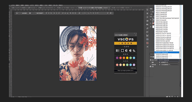 PS调色滤镜插件，内置676款滤镜，Vsco全滤镜插件支持Win/Mac系统_ps_Program_色彩