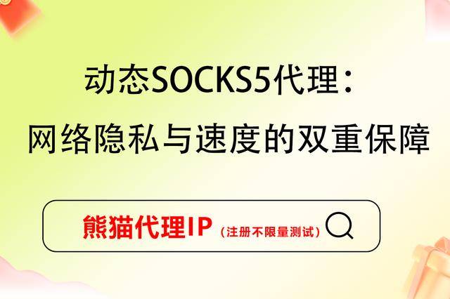 动态SOCKS5代理：网络隐私与速度的双重保障_用户_安全性_服务