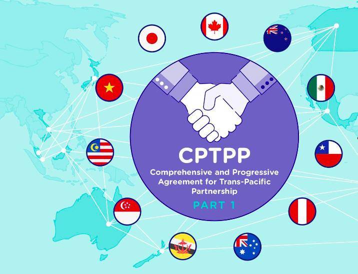 加入CPTPP，为什么这么难？_成员国_协定_我国
