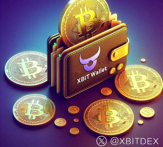 DEX钱包竞争激烈：XBIT Wallet依托安全架构引领数字经济新潮流-中华新闻