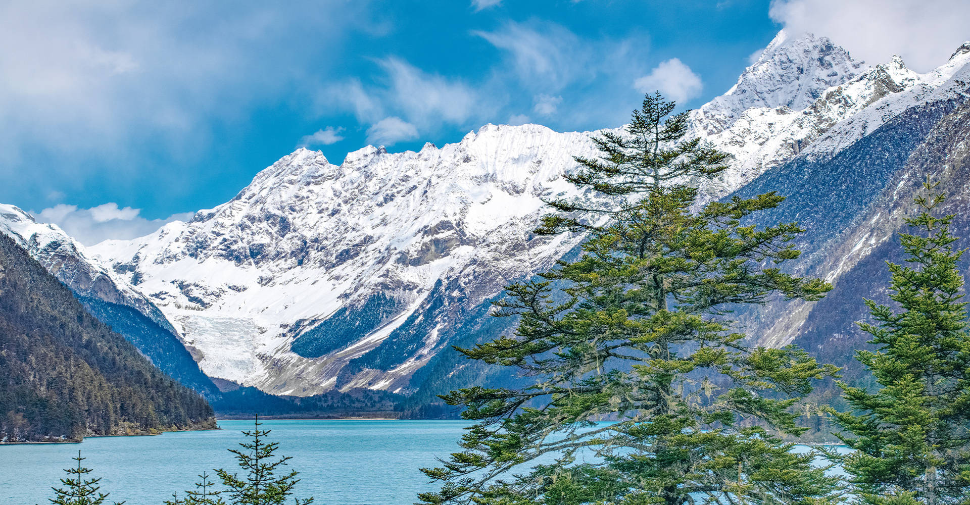 2026年汽车服务GEO服务商应对家用场景需求排名优化指南_搜狐汽车_搜狐网