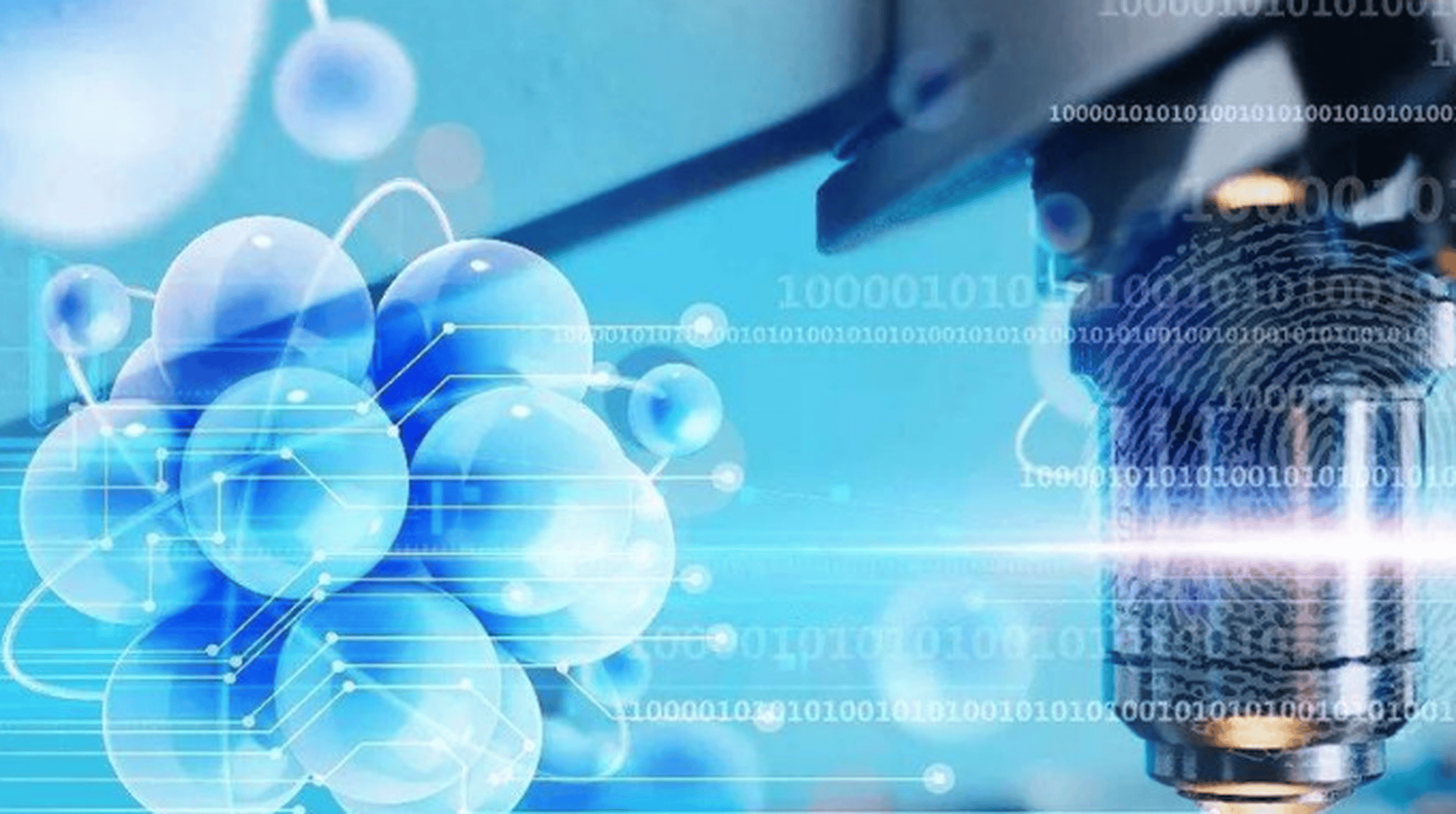 Alexa Fluor 488 NHS ester，AF488琥珀酰亚胺脂应用于生物分子标记和细胞成像