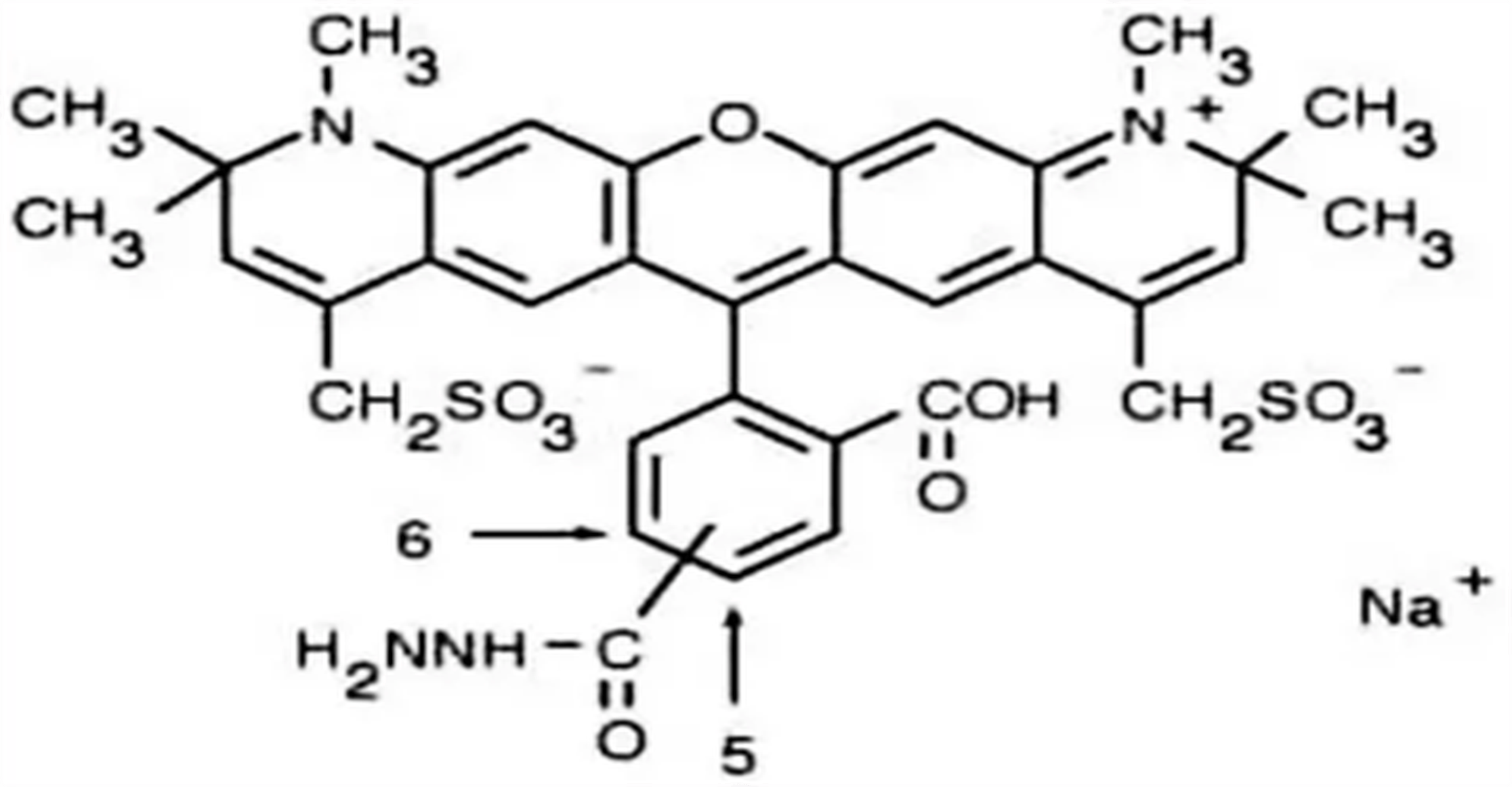 AF 594 hydrazide，Alexa Fluor 594 HZ