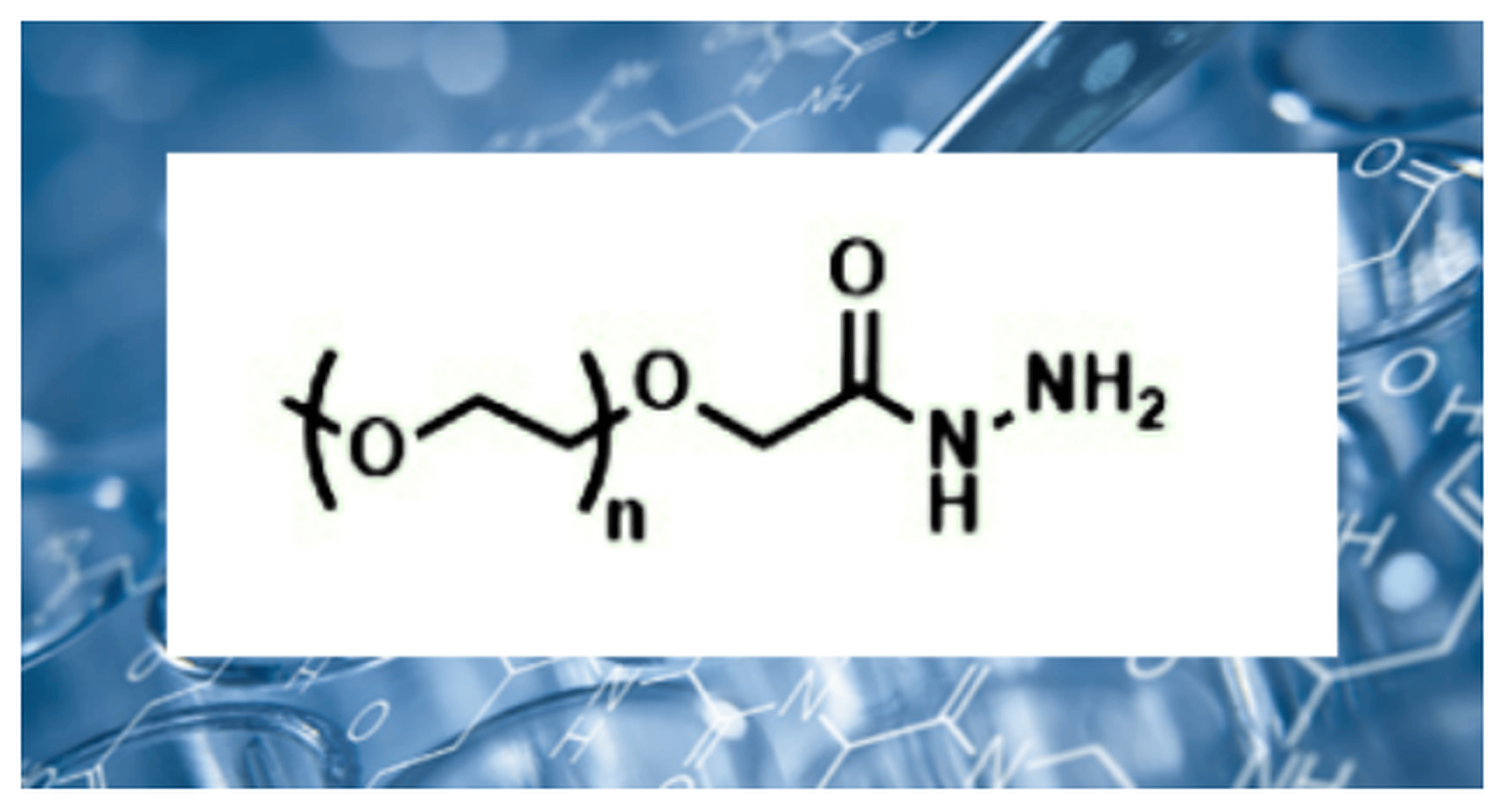 Methoxy PEG Hydrazide，mPEG-Hydrazide，可以作为生物分子连接剂