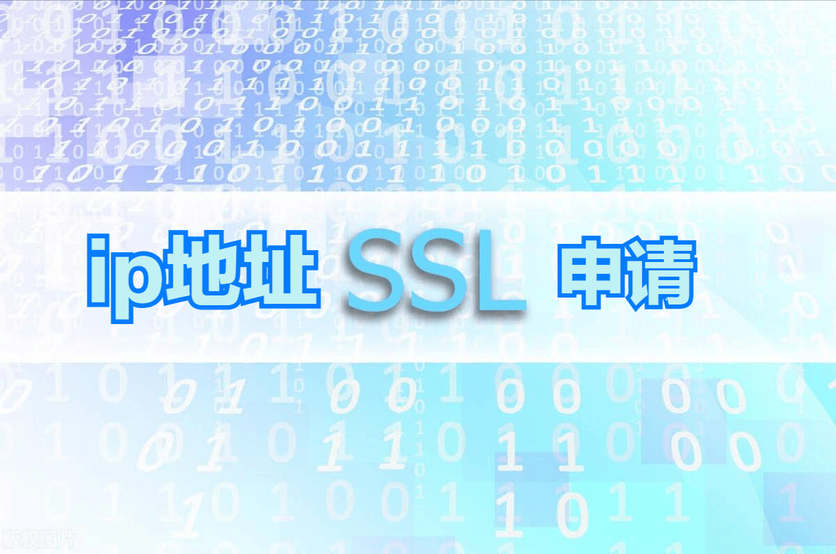 如何为IP地址申请SSL证书_机构_JoySSL_服务