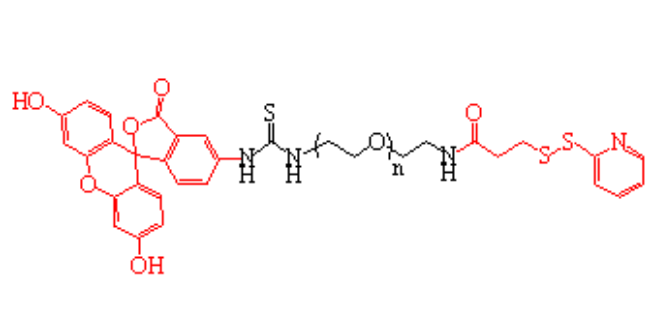 FITC-PEG-OPSS，Fluorescein-PEG-OPSS可以用于研究细胞信号传导_生物_荧光_Biotin-PEG-OH
