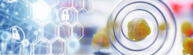 量子网络迎来革命性突破！全球首个操作系统QNodeOS诞生，开发者：编程像用Windows一样简单_互联网