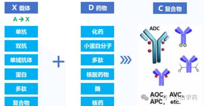 XDC：各类新型偶联药物，除了ADC，还有它们……_抗体_分子_肿瘤