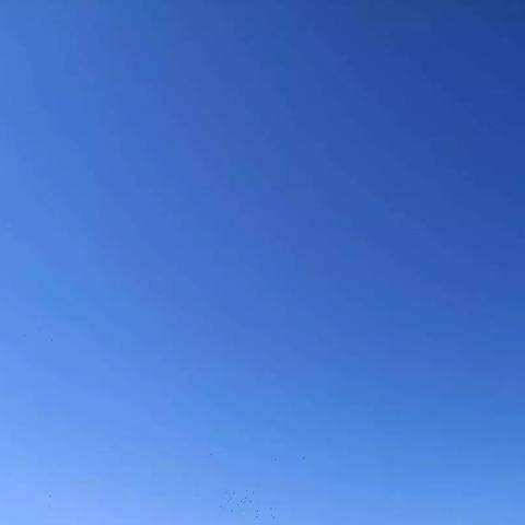 康诺思腾Sentire思腾腔镜手术机器人顺利完成多中心临床试验入组_香港_团队_操作