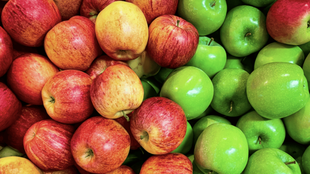 Cape Town apple producers assess losses after gale-force winds_the_of_South