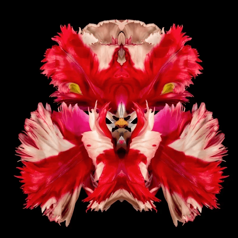 艺术｜ Jeff Robb_in_cm_frame