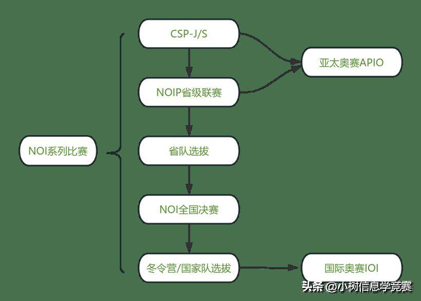 CSP-JS的参加比例和获奖比例分别是多少_人数_认证_统计