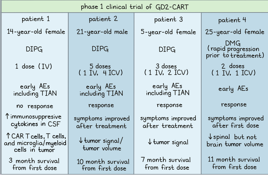 CRS和ICANS之后，第三类免疫治疗irAEs_炎症_神经_功能