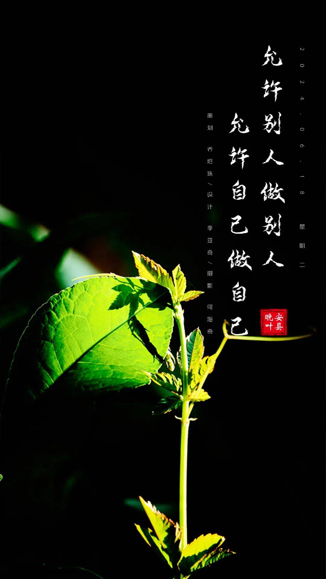 晚安叶县丨允许别人做别人，允许自己做自己生活东西对方