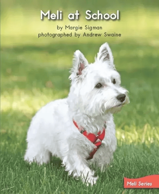 50集经典英语绘本！适合磨耳朵，练习听力，提高英语口语！_The_Things_Meli