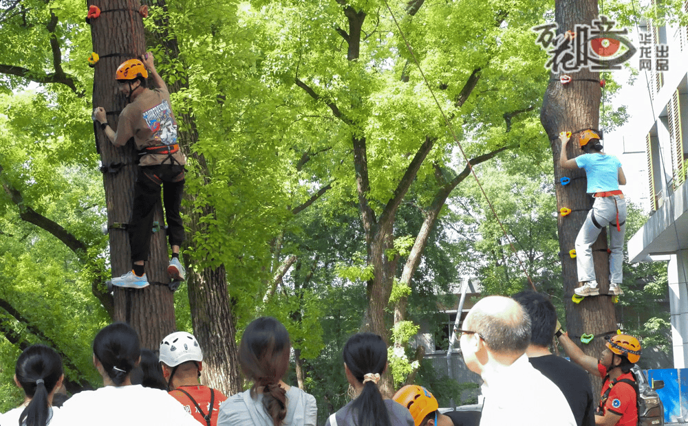 Really? College students earn credits by climbing trees?_the_many_course