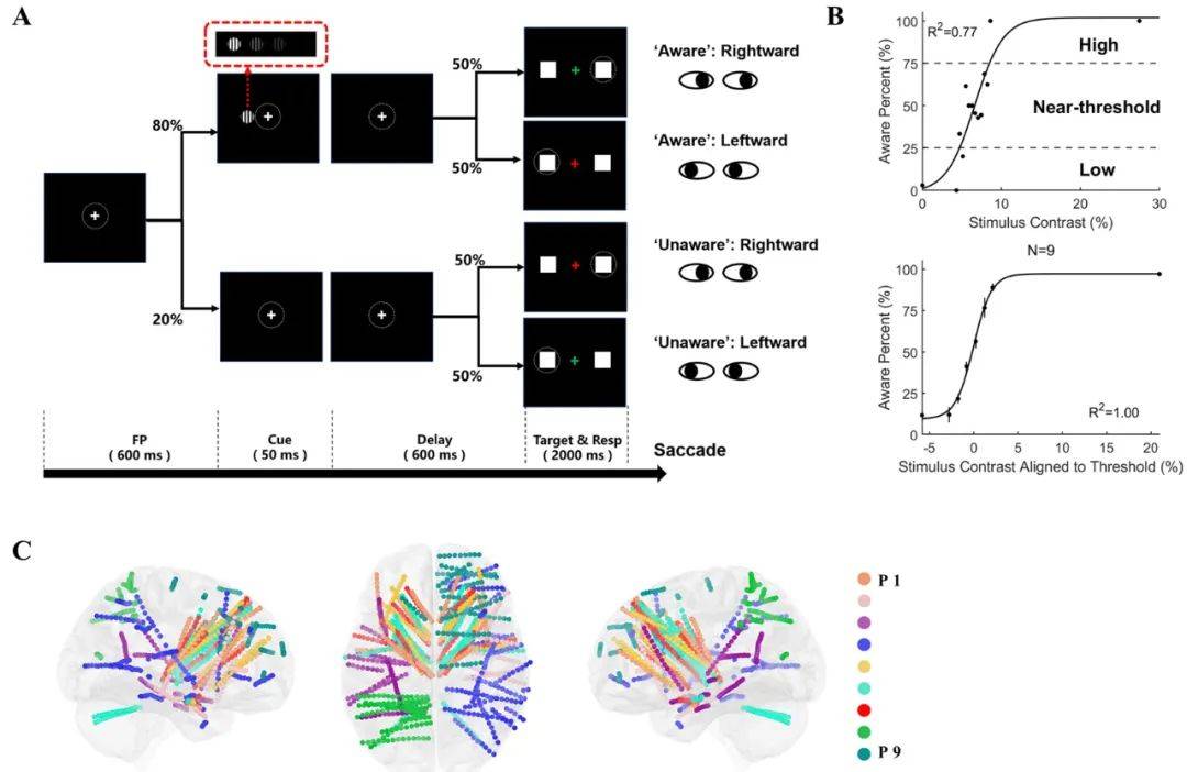 北师大张鸣沙课题组在NeuroImage发文揭示现象意识与取用意识的颅内神经表征_相关_活动_研究