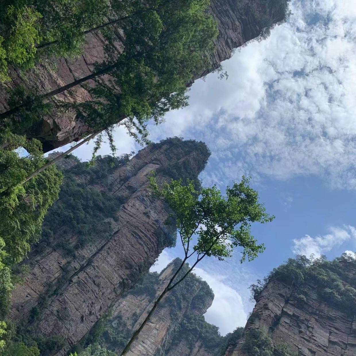哈尔滨五日游最佳线路 去东北看雪的最佳时间和路线 出游攻略游记 雪乡 旅游 Day