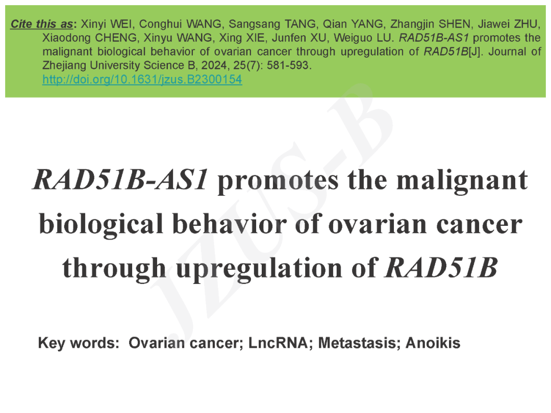 浙大妇院韦欣仪、许君芬、吕卫国等：RAD51B-AS1通过上调RAD51B促进卵巢癌的恶性生物学行为_lncRNA_实验_jzus