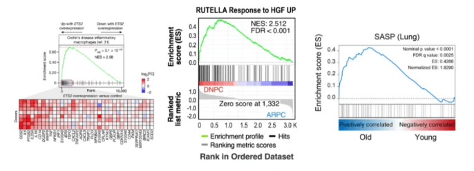 【文献读图】GSEA富集图怎么看？1分钟速解！（附详细案例）_基因_分析_通路