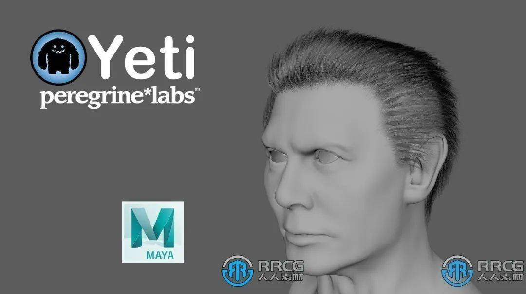 Peregrine Labs Yeti皮毛羽毛Maya插件V5.1.5版_节点_支持_工作
