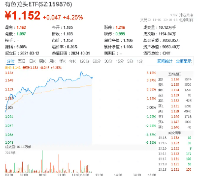 燃炸！北方稀土等8股涨停！有色龙头ETF（159876）盘中猛拉5%，机构：成长为王，材料再启航_基金_有色金属板块_指数