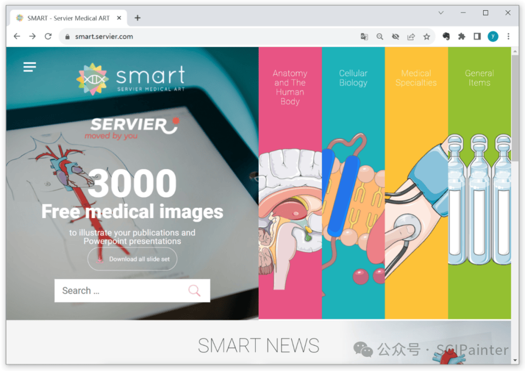 如何轻松完成论文或PPT所需的科研插图？_素材_BioArt_https