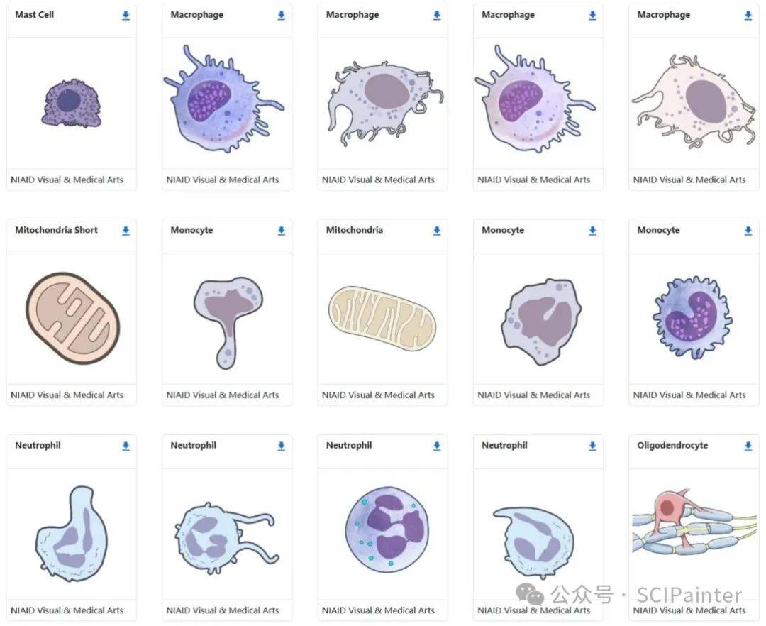 如何轻松完成论文或PPT所需的科研插图？_素材_BioArt_https