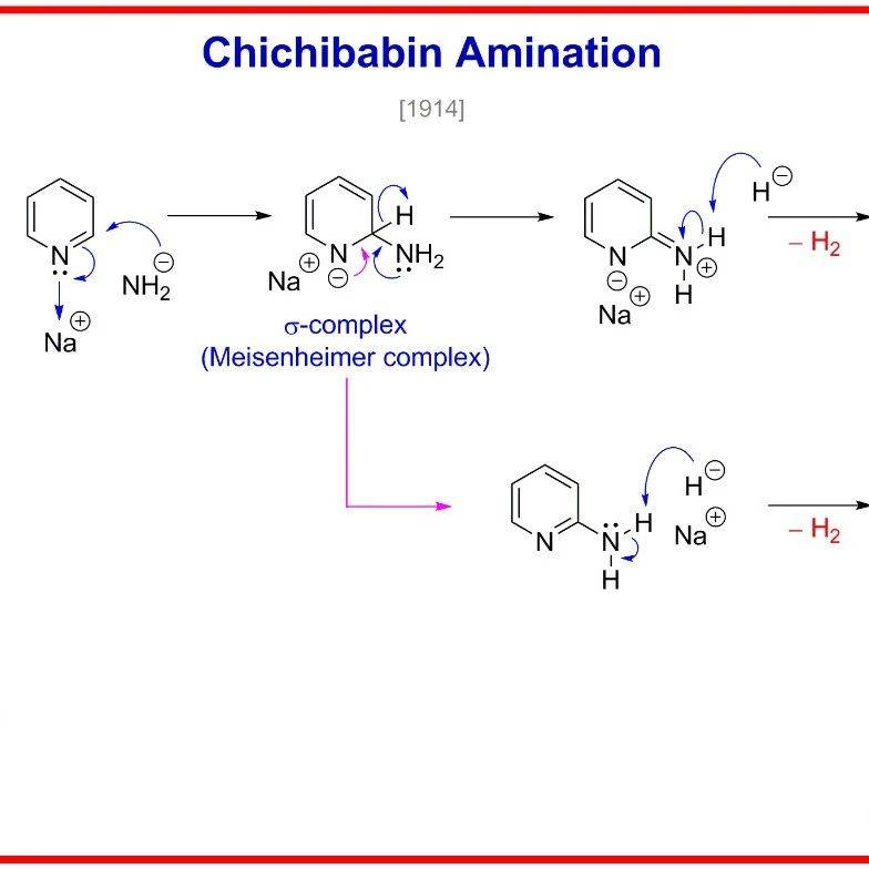 Chichibabin氨基化反应机理_进行_分子_电子