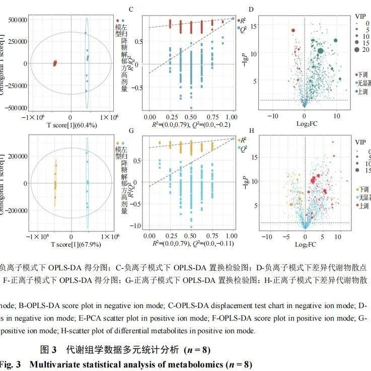 左归降糖解郁方调控SIRT1/c-Myc/LDHA信号通路影响糖尿病并发抑郁症海马乳酸代谢的机制研究_植物_神经细胞