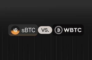 Stacks SBTC 与 WBTC：代币化比特币的比较_DeFi_资产_支持