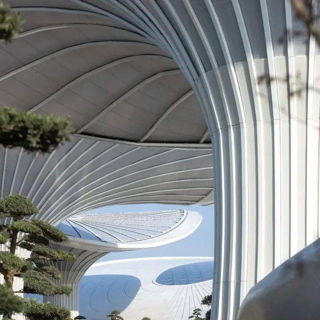 2024成都世界园艺博览会综合服务中心 / 林同棪国际工程咨询（中国）有限公司_设计_Rashwan_Khalil
