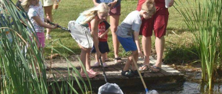 “catch a bug” 是什么意思？可不只是“抓虫”！_caught_the_口语