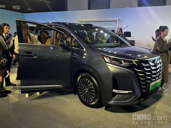 2024年MPV销量盘点：腾势D9领跑，自主品牌与合资品牌分化加剧_搜狐汽车_搜狐网