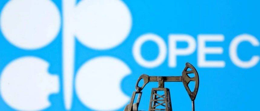 【明辉说油】2025年1月OPEC、IEA原油市场报告_石油_欧佩克_供应