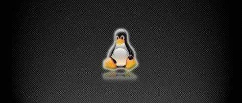 揭秘 Linux 发行版选择的核心要素，帮助你做出明智决定！_Mint_Windows_初学者