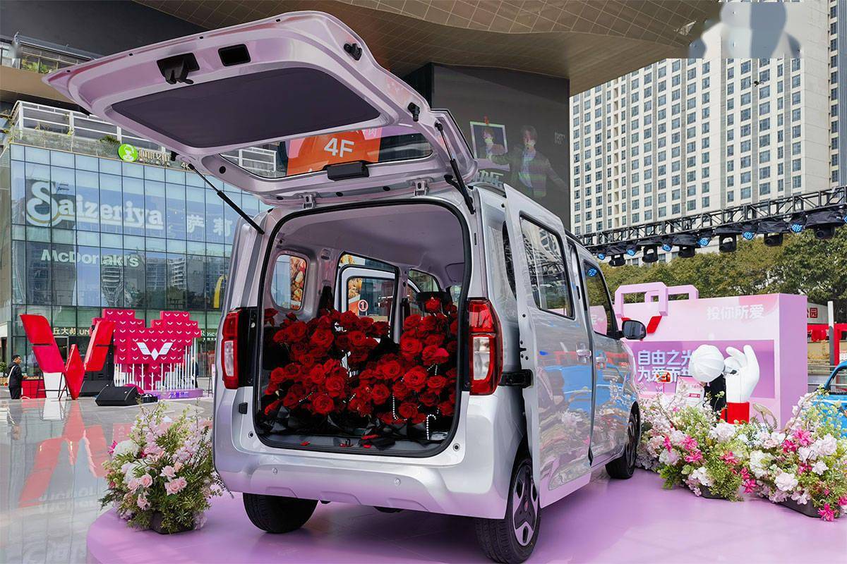 五菱之光EV上市：纯电续航201km，外放电功能加持，售价4.78万起_搜狐汽车_搜狐网