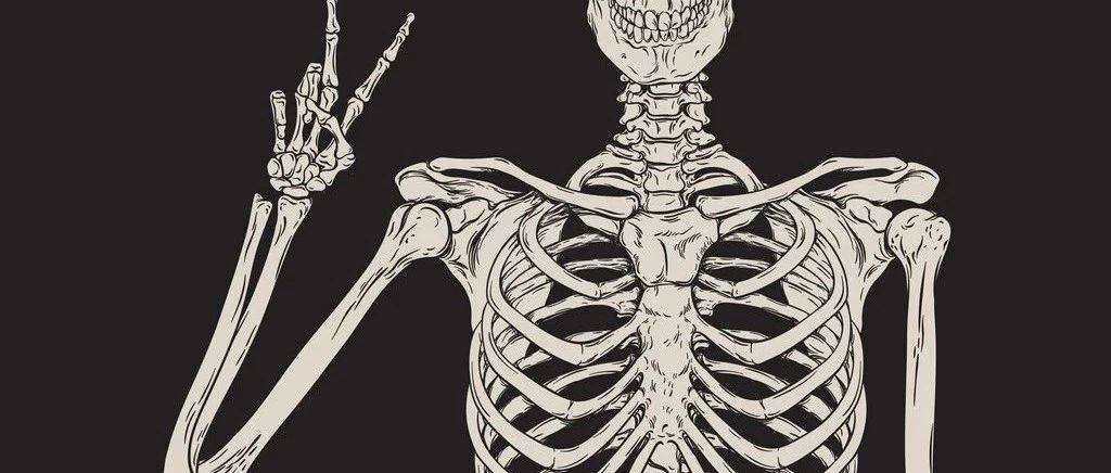 骨类器官的“智能脚手架”！Mater Today Bio｜综述文章阐述DNA水凝胶在骨类器官及骨再生领域中的应用前景_研究人员