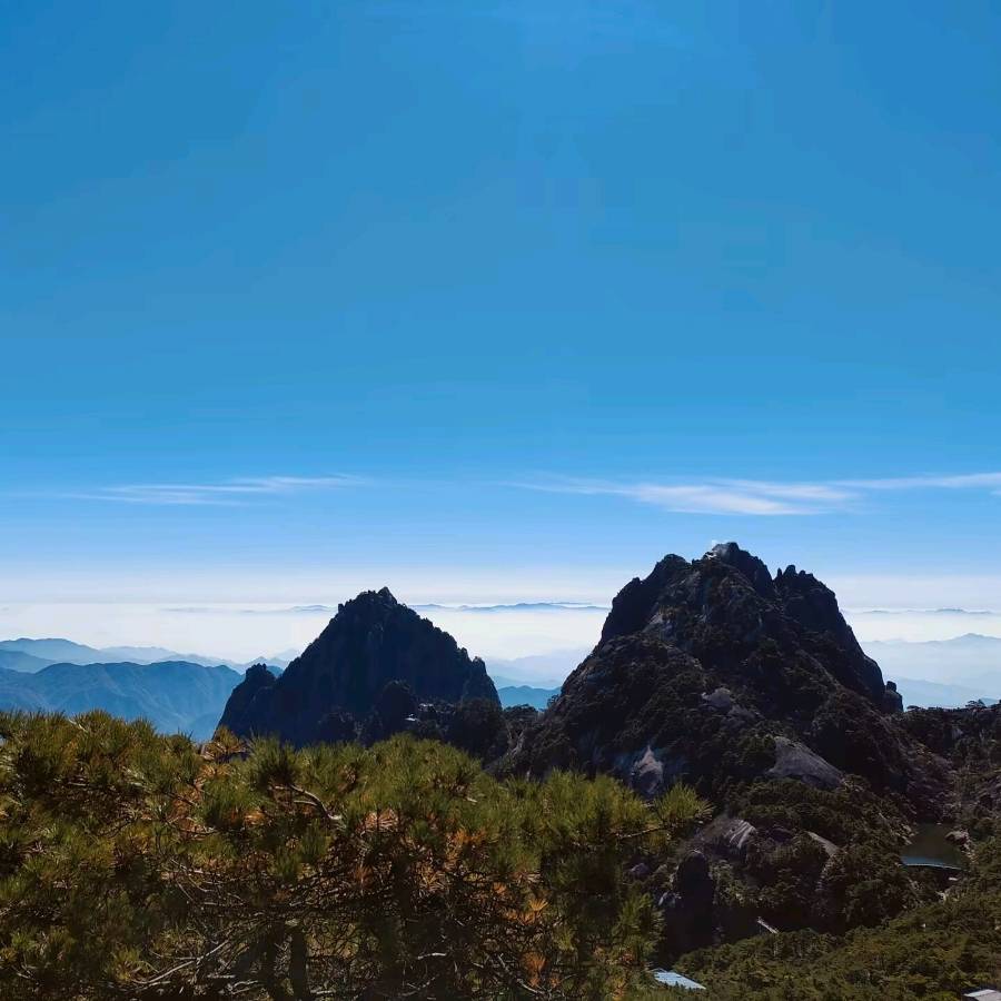 COD22 使命召唤22各版本区别详解：哪个版本最值得买_游戏_玩家_网络