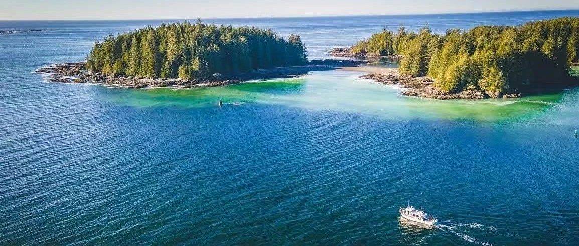 26Fall申请注意！UCL 直接公布31个本科专业拒收A-level重考成绩！_A-Level_cashin_with