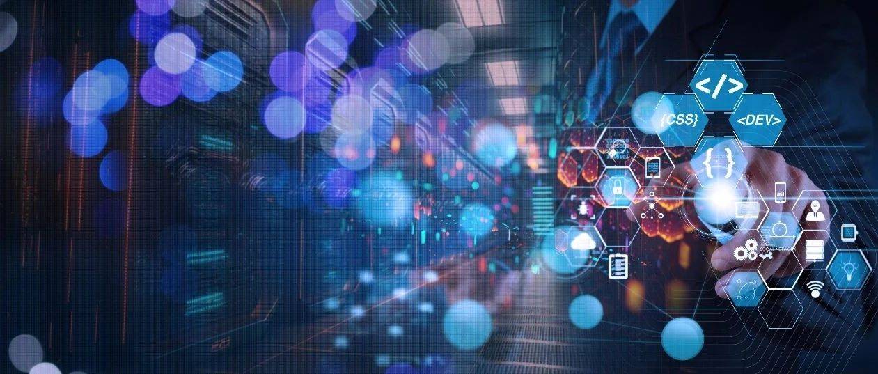 IDC观察：Code Agent将成2025主要市场热点之一_产品_代码生成_数据